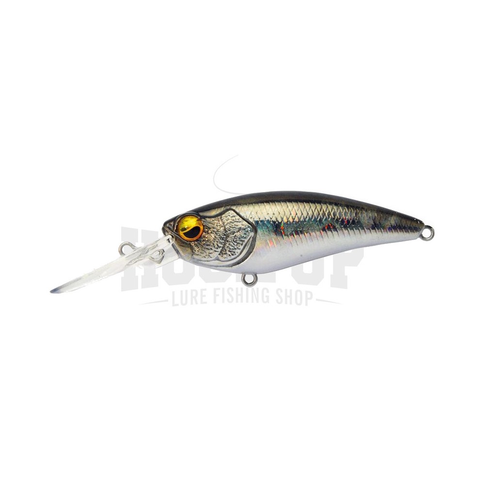 Raid Japan Level Shad