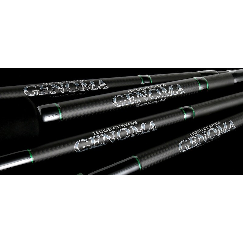 Canne Casting de Voyage Deps Huge Custom Genoma HG1-61R